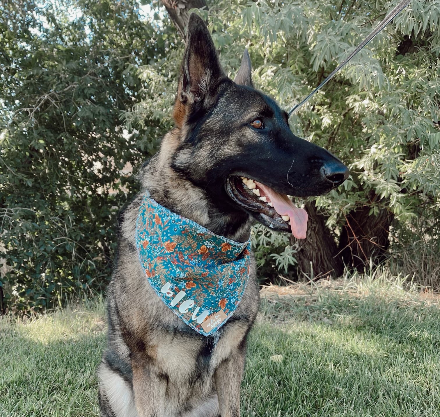 Falling Leaves Bandana – Made for Moose